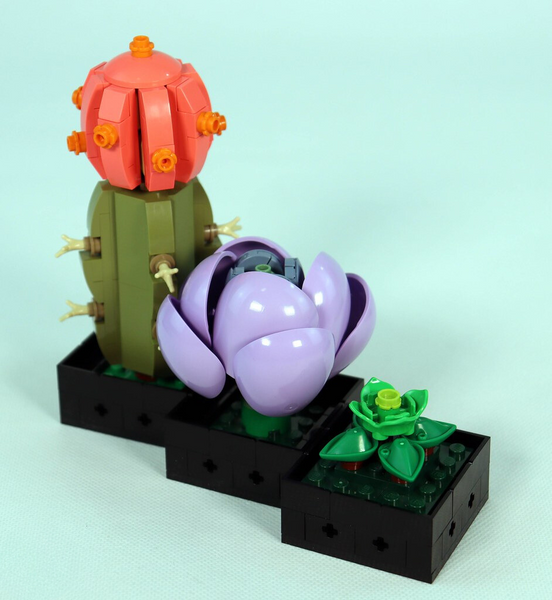 Unveiling the LEGO Succulent Miracle – Lazy Gardens