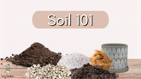 Soil 101 – Lazy Gardens